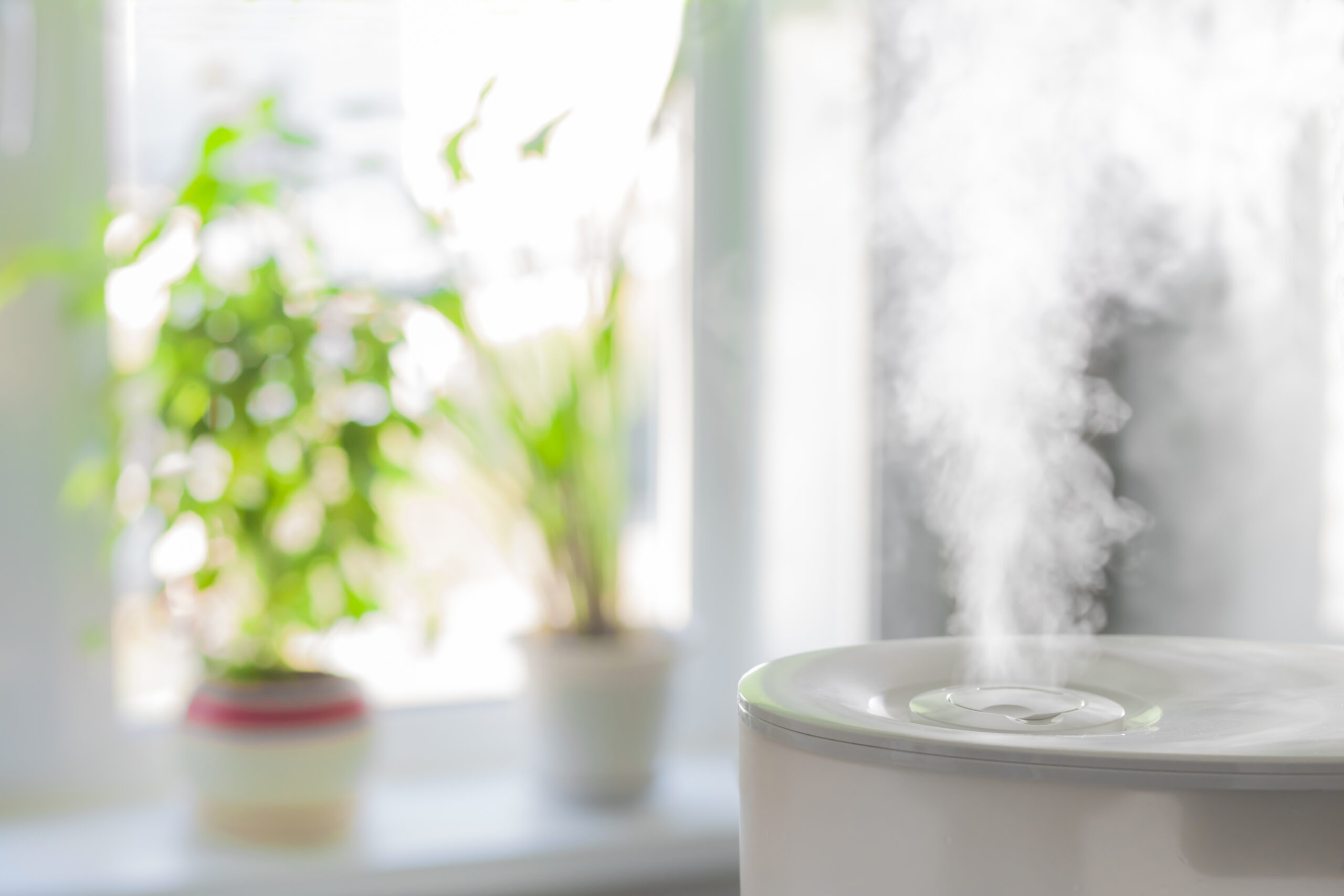What’s a Normal Home Humidity Level? | Cozy Home Services